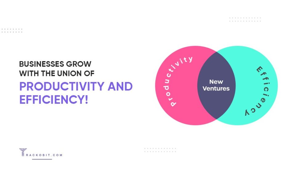 Productivity vs Efficiency: What Are The Major Differences?